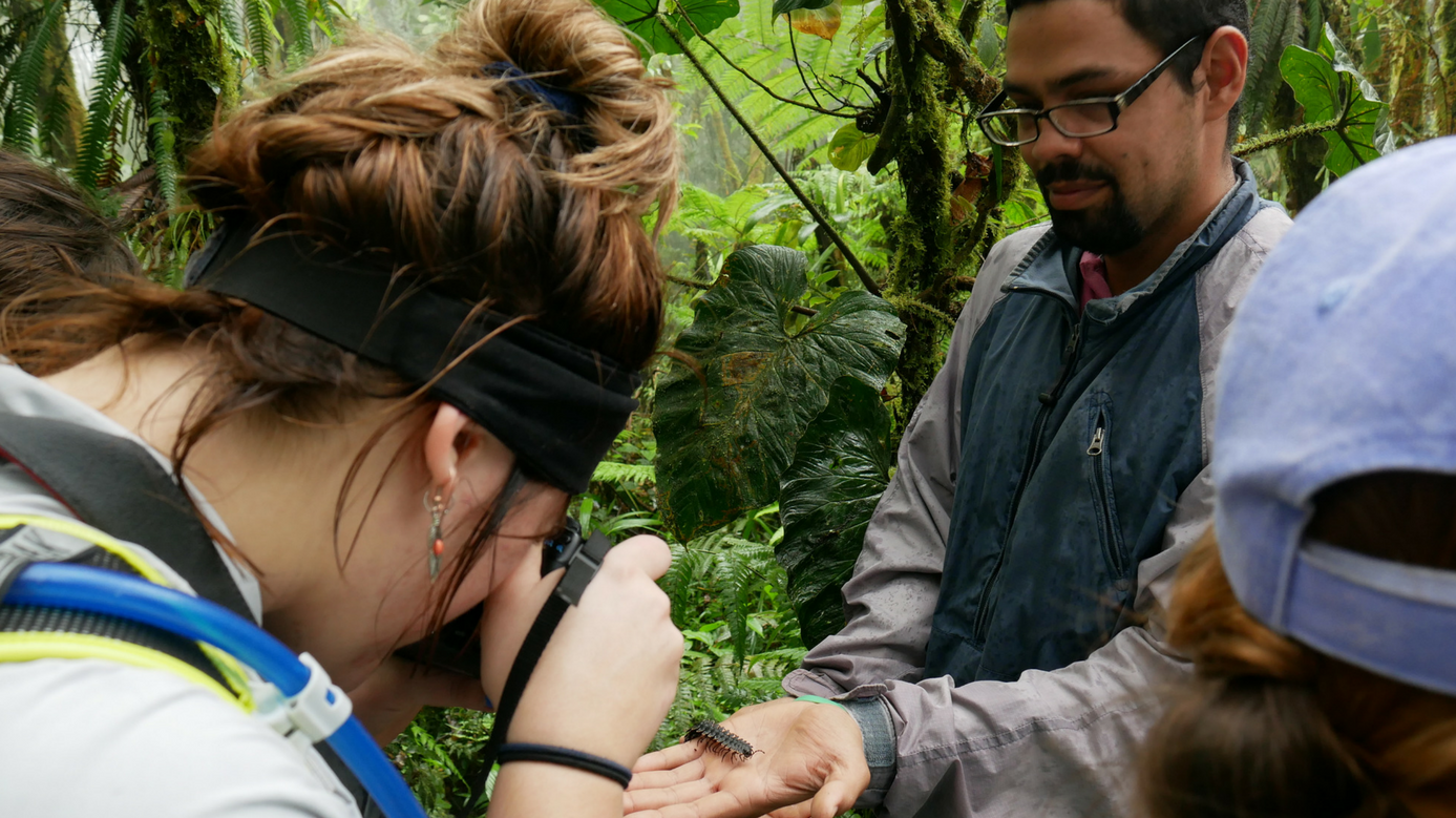 Environmental Conservation Internships in Costa Rica | Intern Abroad HQ