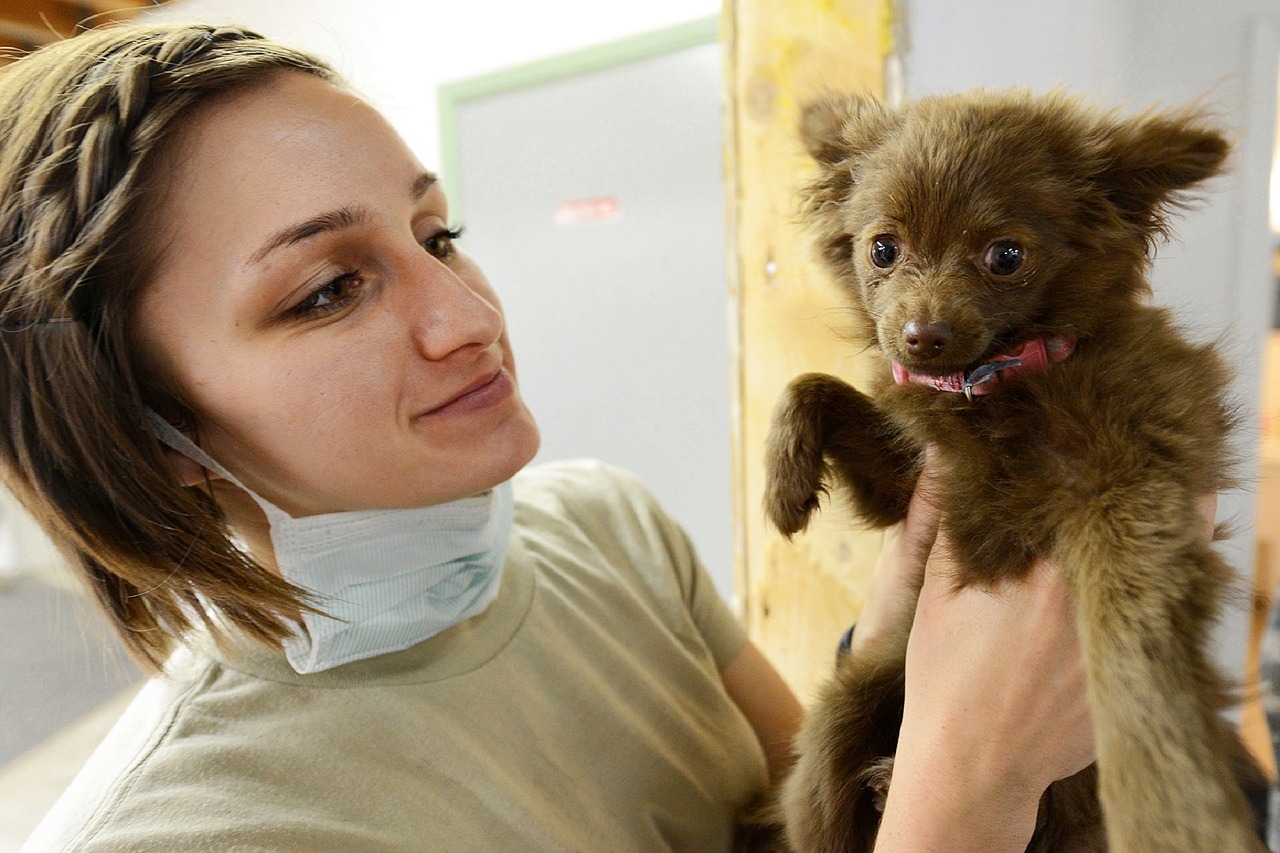 Veterinary & Animal Care Internships in Peru | Intern Abroad